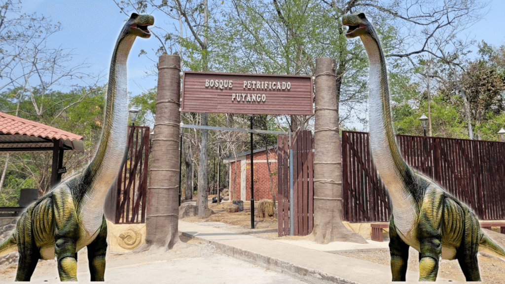 El Parque Turístico en el Bosque Petrificado de Puyango será tomado por ...