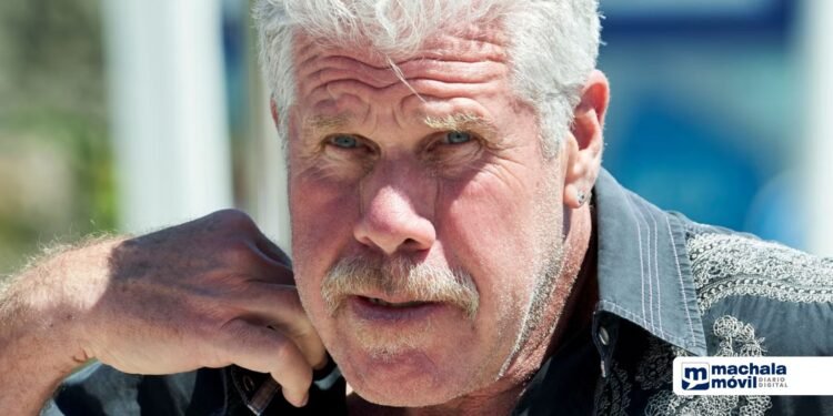 ¡Ron Perlman llega a la Comic Con 2024! se realizará del 2 al 4 de ...
